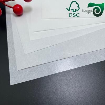 China 60g Medical Blister Paper For Disposable Syringe 794mm 510mm Roll for sale