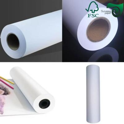 China FSC CAD  Inkjet Printer Plotter Paper Roll 80g 24