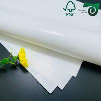 China FSC American Bristol Paper Board 200gsm 300gsm Premium High Gloss Sheet Printing Paper for sale