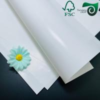 China FSC American Bristol Paper Board 200gsm 300gsm Premium High Gloss Sheet Printing Paper for sale