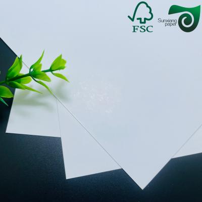 China High Brightness White Cardboard Roll Gravure Printing Compatible 120gsm-320gsm for Packaging and Printing for sale