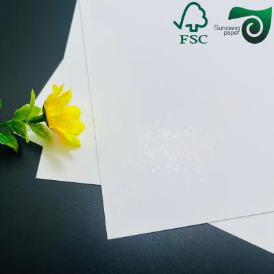 China FSC Ivory SBS Paper Board  300gsm Single Sided Coated White Paper Board Premium Packaging for sale