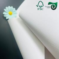China FSC Ivory SBS Paper Board  300gsm Single Sided Coated White Paper Board Premium Packaging for sale