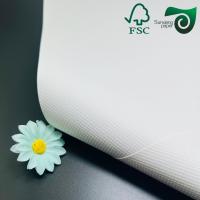 China 70gsm 80gsm Uncoated Bristol Drawing Paper Sheets 61x86cm For Sticky Notes for sale