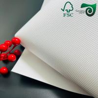 China 160gsm 180gsm Thick Colored Embossed Leather Grain Bristol Cover Paper for sale