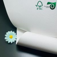 China 230gsm 400gsm Single Side Coated FBB Jumbo Rolls 90% Brightness for sale