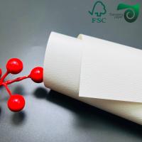 China 160gsm 180gsm Thick Colored Embossed Leather Grain Bristol Cover Paper for sale