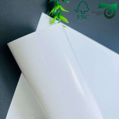 China 180gsm 350gsm Food Grade PE Coated Cupstock Paper Roll  For Disposable Paper Cup for sale