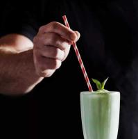 China Sugarcane Bagasse Disposable Drinking Straw 20cm Length Compostable and Biodegradable for sale