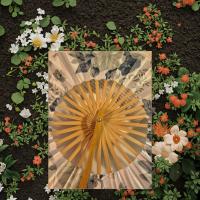 China Eco-Friendly Bamboo Hand Fan with Folk Art Design for Home Decoration and Promotional Gifts 21*38cm for sale