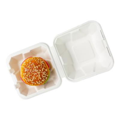 China 6x6 inch Biodegradable Clamshell Boxes , Bagasse Hamburger Box for sale
