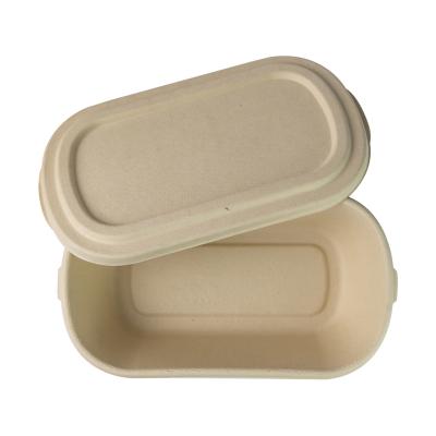 China Biodegradable Disposable Sugarcane Bagasse takeaway Containers Box for sale