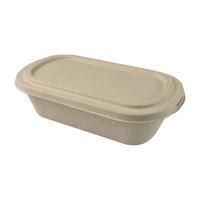 China Biodegradable Disposable Sugarcane Bagasse takeaway Containers Box for sale