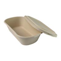 China Biodegradable Disposable Sugarcane Bagasse takeaway Containers Box for sale