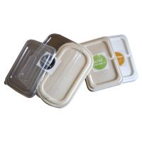China Factory 100% Biodegradable Compostable Bagasse Pulp Packaging Food Container for sale