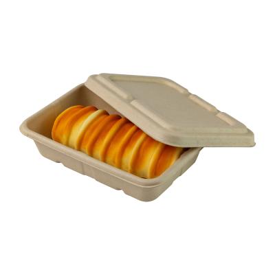 China Unbleached Recyclable Compostable Meal Prep Containers Takeout Sugarcane Paper for sale