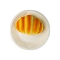 China Compostable Biodegradable Disposable 9inch 10inch Sugarcane Sugar Cane Bagasse Party Dinner Plate for sale