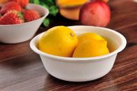 China Round Compostable Bagasse Bowls Biodegradable Disposable Sugarcane for sale