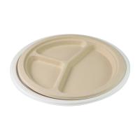 China Snack Fast Food Container Biodegradable Sugarcane Bagasse Plates Dinnerware for sale