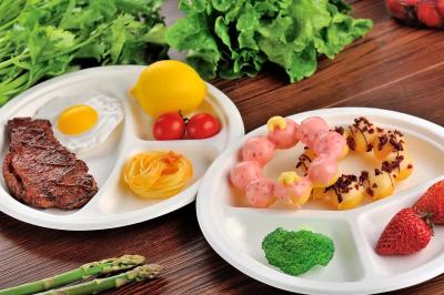 China Disposable Tableware Biodegradable Sugarcane Bagasse Plates Refrigerator Wedding for sale