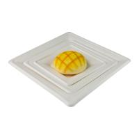 China 6Inch Biodegradable Sugarcane Bagasse Plates Square Retangular Plate 7Inch for sale