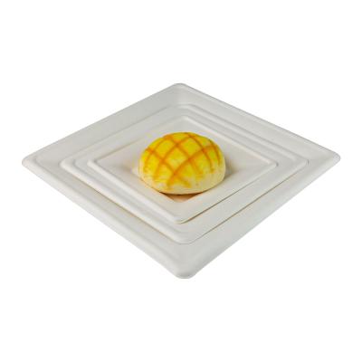 China 6Inch Biodegradable Sugarcane Bagasse Plates Square Retangular Plate 7Inch for sale