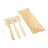 China Disposable Wooden Cutlery Sets Ecological Biodegradable Compostable for sale