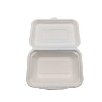 China Single Compartment Biodegradable Clamshell Box Disposable 8in 9 Inch for sale