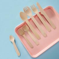China Biodegradable Bamboo Utensil Disposable Bamboo Cutlery Set for Party Camping Grade A 170mm for sale