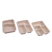 China 100% Natural Sugarcane Fiber Square Disposable Plates Biodegradable for sale