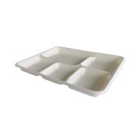 China School Lunch Biodegradable Sugarcane Plates Disposable for sale