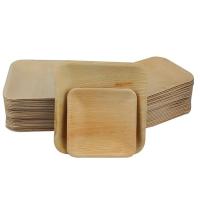 China OEM Biodegradable Palm Leaf Plates With Laminated Packing for sale