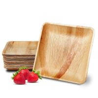 China 6 Inch 8 Inch 10 Inch Disposable Areca Palm Leaf Plates for sale