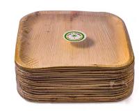China 6 Inch 8 Inch 10 Inch Disposable Areca Palm Leaf Plates for sale