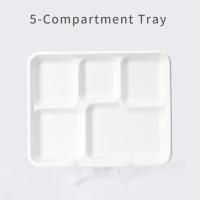 China School Lunch Biodegradable Sugarcane Plates Disposable for sale