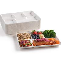 China School Lunch Biodegradable Sugarcane Plates Disposable for sale