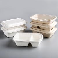 China Leak Proof Sugarcane Fiber Pulp Disposable Food Container Biodegradable for sale