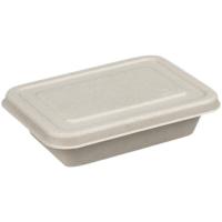 China Eco Friendly Compostable Sugarcane Pulp Disposable Take Out Containers for sale