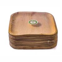 China SGS 100% Biobased Palm Leaf Plates Disposable For Children'S Birthday Party for sale