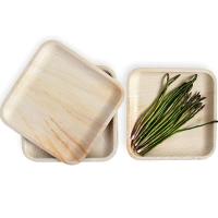 China Biodegradable 6