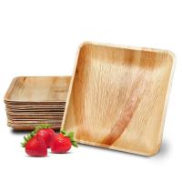 China 100% Compostable Biodegradable Palm Leaf Plates Disposable for sale