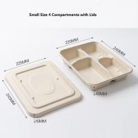 China Cornstarch Lunch Compartment Food Container Biodegradable Disposable for sale