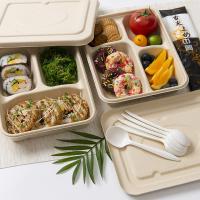 China Cornstarch Lunch Compartment Food Container Biodegradable Disposable for sale