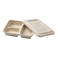 China Sugarcane Pulp Lunch Takeaway Bento Box 4 5 Compartment Biodegradable Disposable for sale