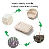 China Sugarcane Pulp Lunch Takeaway Bento Box 4 5 Compartment Biodegradable Disposable for sale