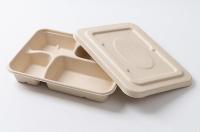 China One Time Use Dinner Plate Biodegradable Food Containers Compostable for sale
