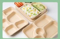 China One Time Use Dinner Plate Biodegradable Food Containers Compostable for sale