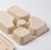 China One Time Use Dinner Plate Biodegradable Food Containers Compostable for sale