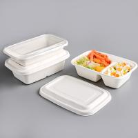 China Disposable Sugarcane Takeaway to Go Lunch Box Food Containers for Restaurants Hotel for sale