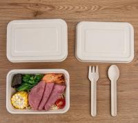 China Disposable Sugarcane Takeaway to Go Lunch Box Food Containers for Restaurants Hotel for sale